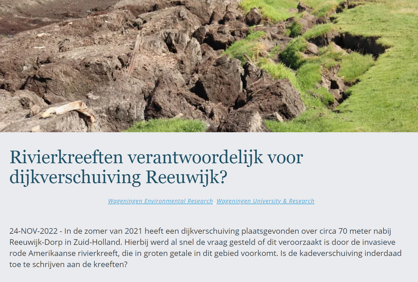 Onderzoeksrapport WENR: Rivierkreeften verantwoordelijk voor ...